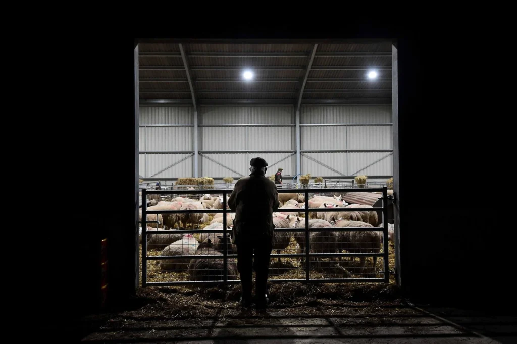 Agriculture & Farming Photography - Nathan Stirk Photography
