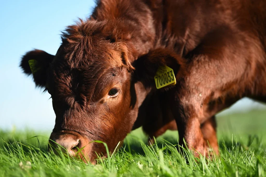 Agriculture & Farming Photography - Nathan Stirk Photography